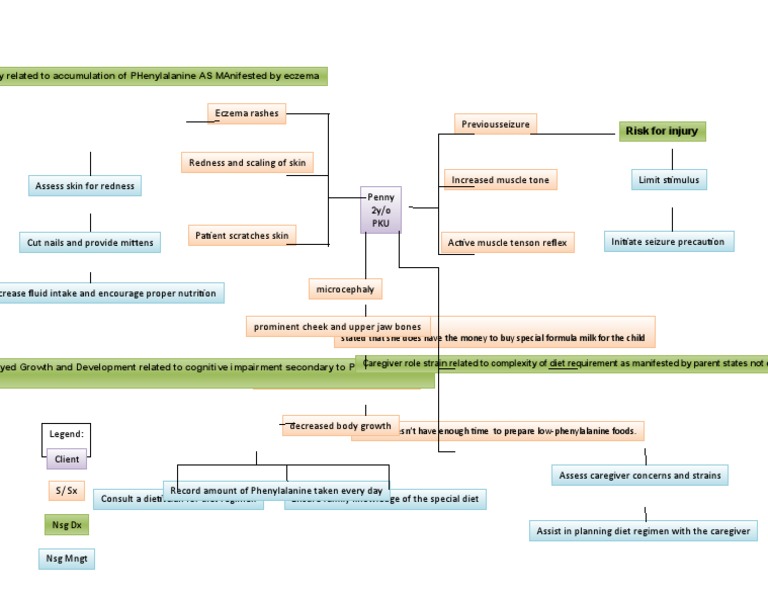 Pku 3 Concept Map | PDF | Medical Specialties | Clinical Medicine