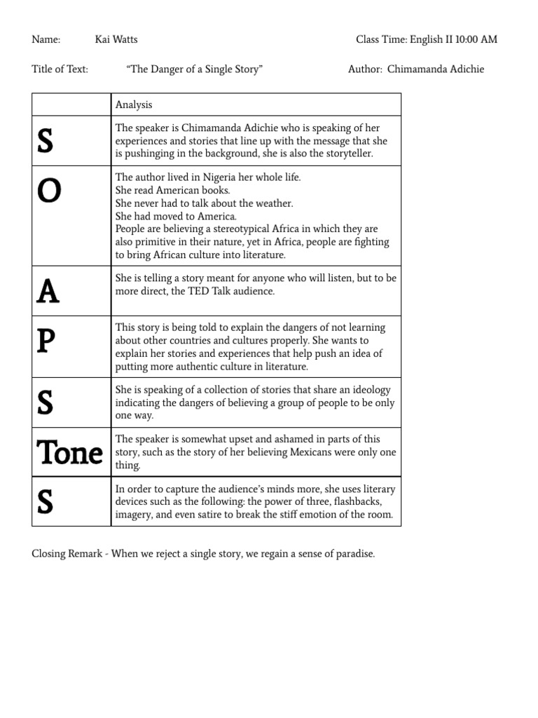 The Danger of A Single Story - Soapstones Graphic | PDF