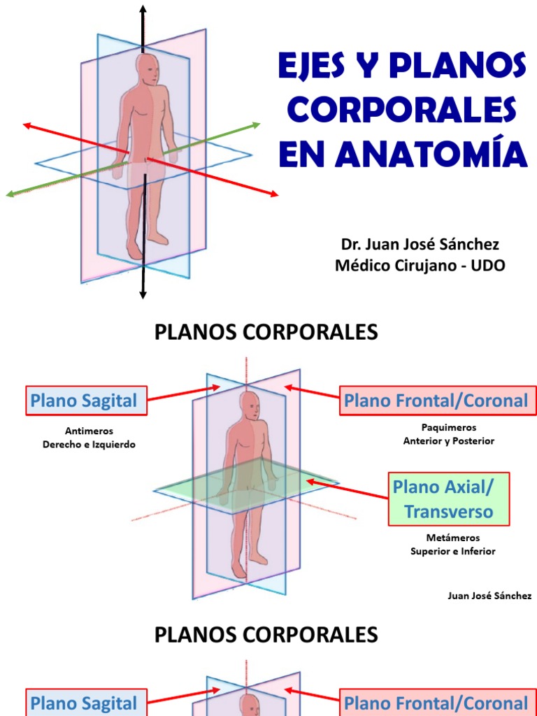 1.canal - Anatomia Ejes y Planos Corporales. | PDF