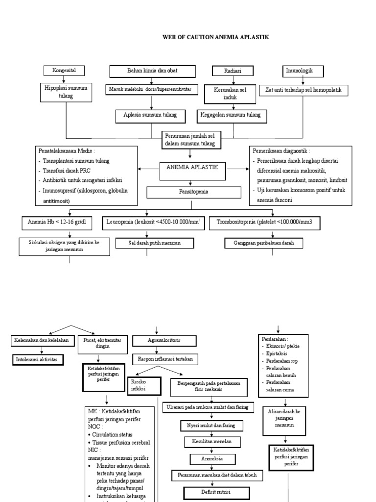 Woc Anemia Aplastik | PDF