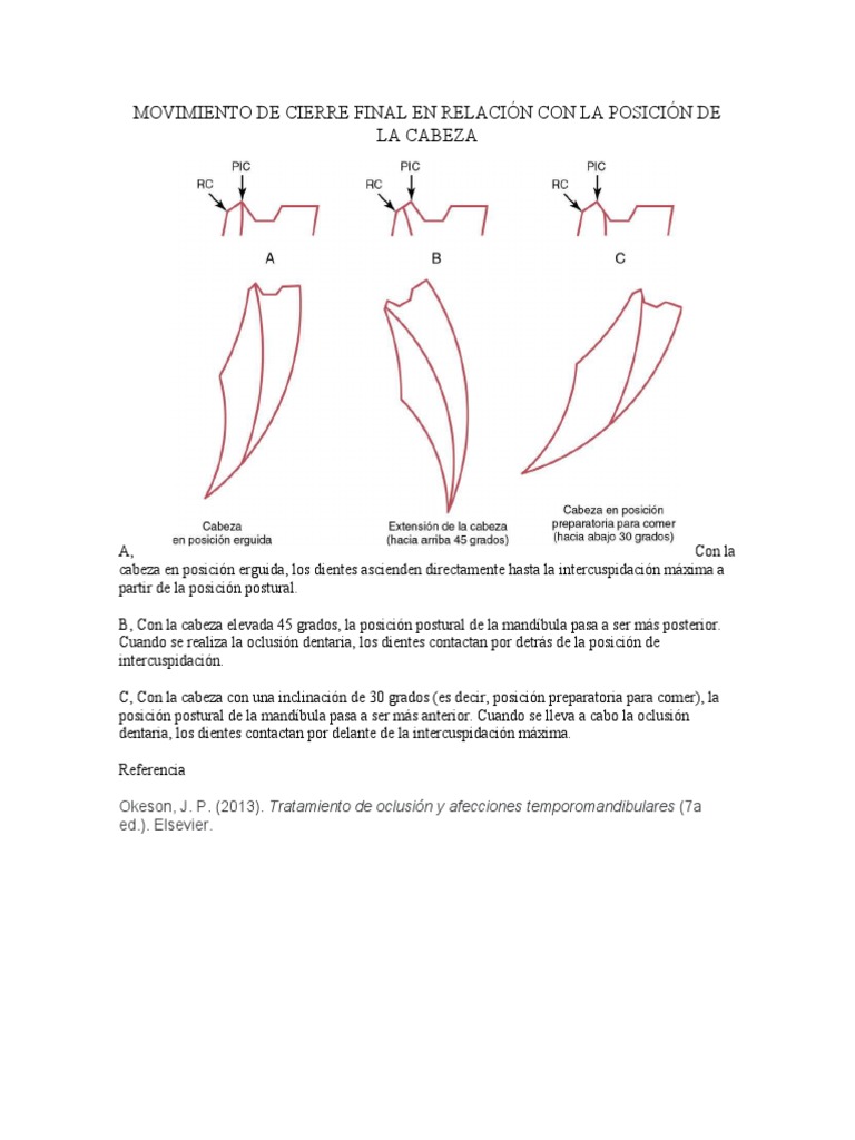 Diagrama de Posselt en Relación Con La Posición de La Cabeza - Johann ...