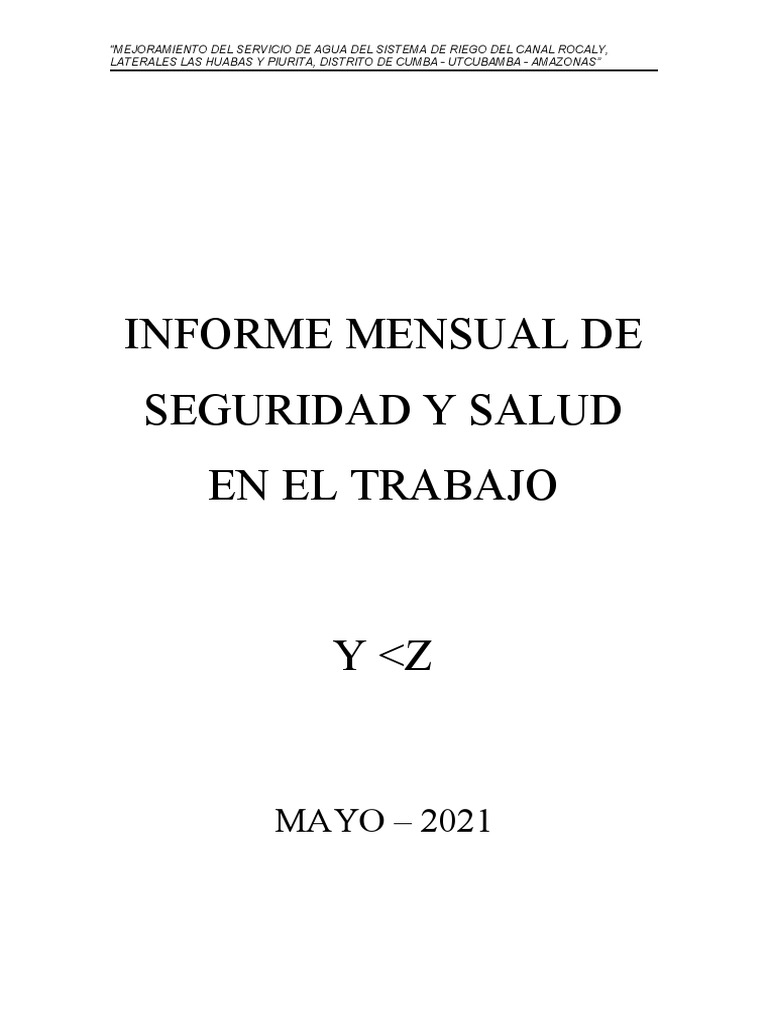 E. - Informe Mensual de Seguridad y Salud en El Trabajo | PDF | Naturaleza | Science
