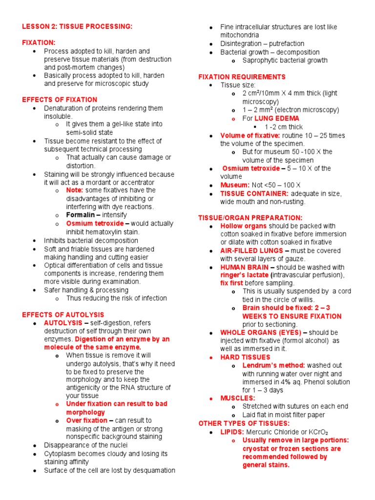 Hard Tissues | PDF | Fixation (Histology) | Staining