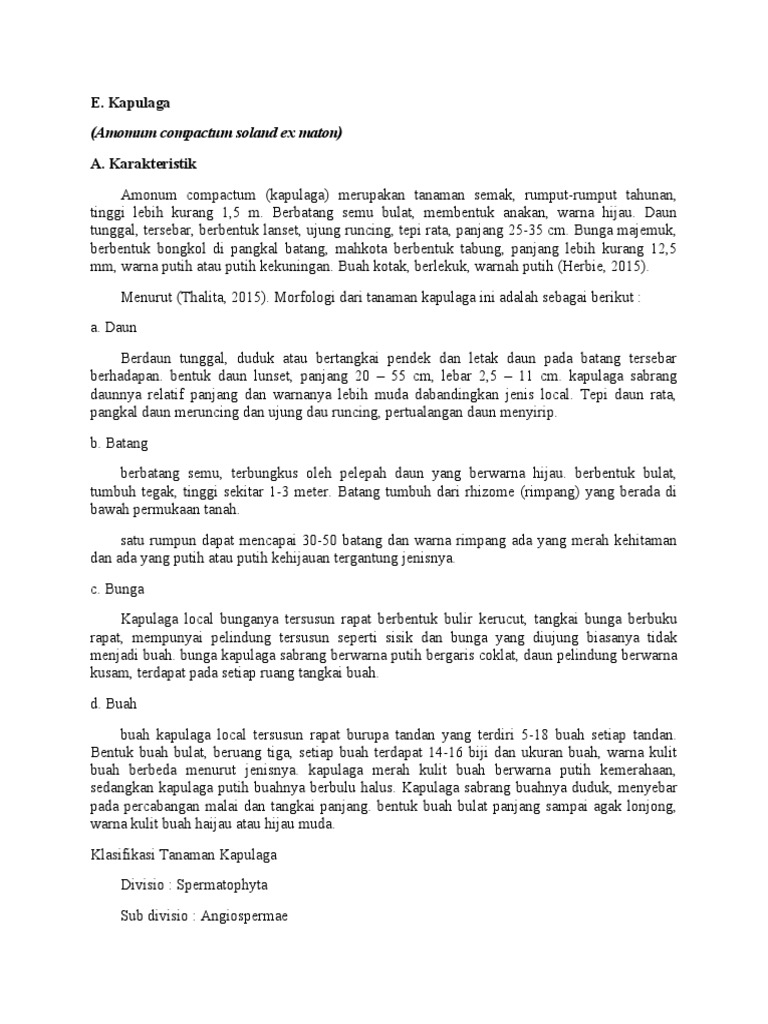 Kapulaga | PDF | Griya & Taman | Kesehatan Holistik