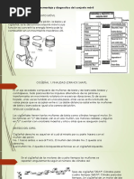 Símbolos Esquemáticos Hidráulicos Según DIN ISO 1219. | PDF | Bomba | Presión