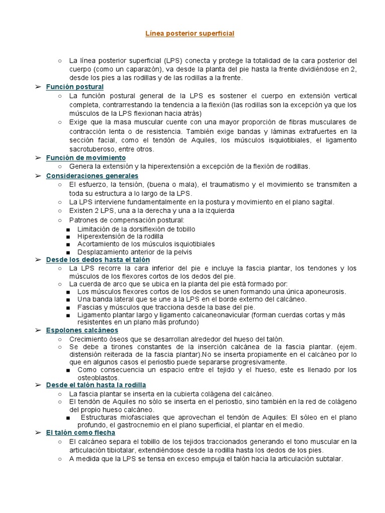 Línea Posterior Superficial - Grupo 3 | PDF | Rodilla | Pie