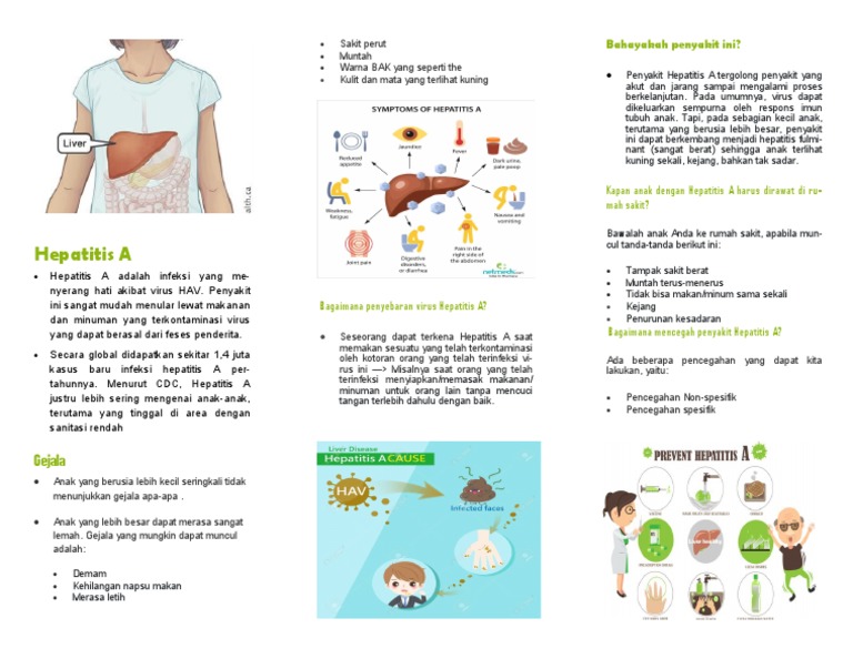 Leaflet Hepatitis A Indra | PDF