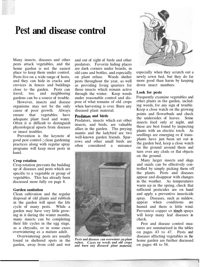 Pest and Disease Control Optimised | PDF | Tomato | Cabbage