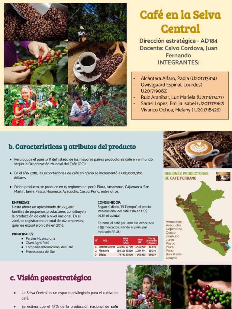 Café de la Selva Central en Perú | PDF | café | Perú