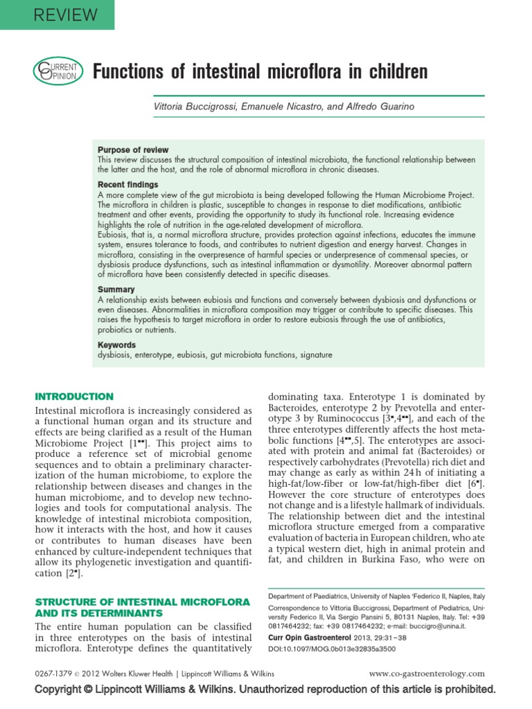 Functions of Intestinal Microflora in Children.6 | Download Free PDF ...