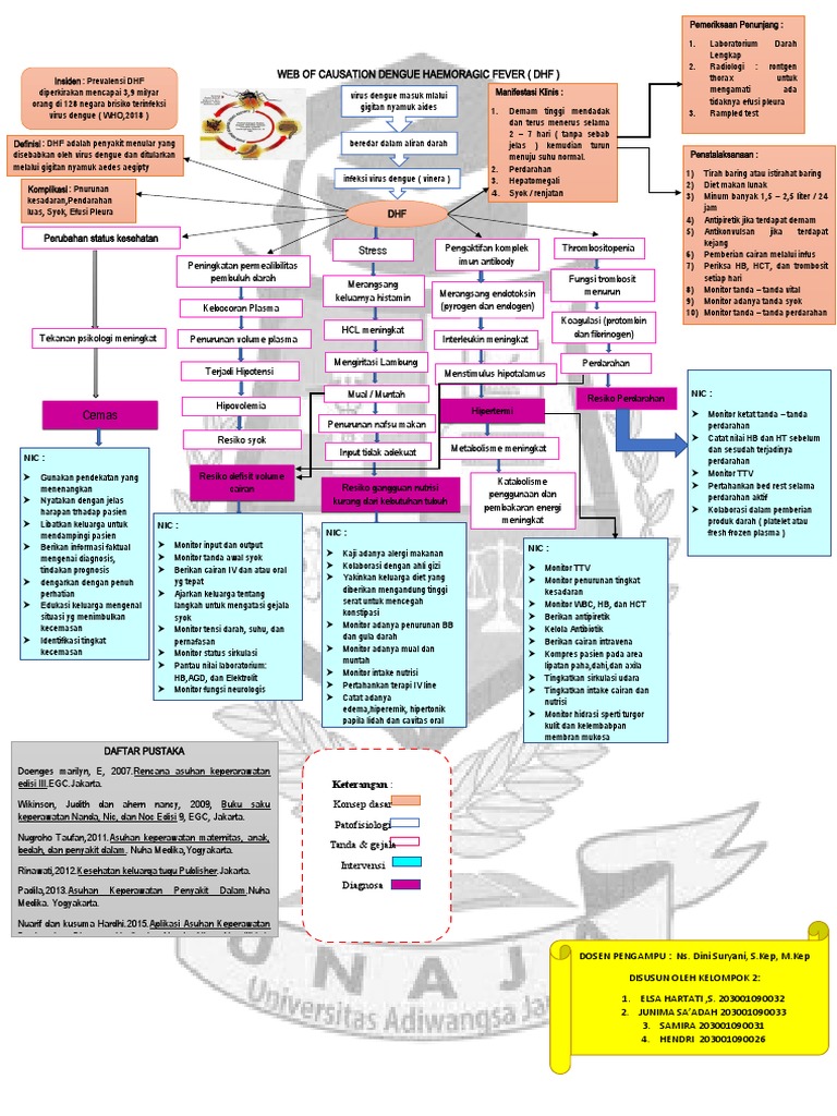 WOC DHF Pda Anak | PDF