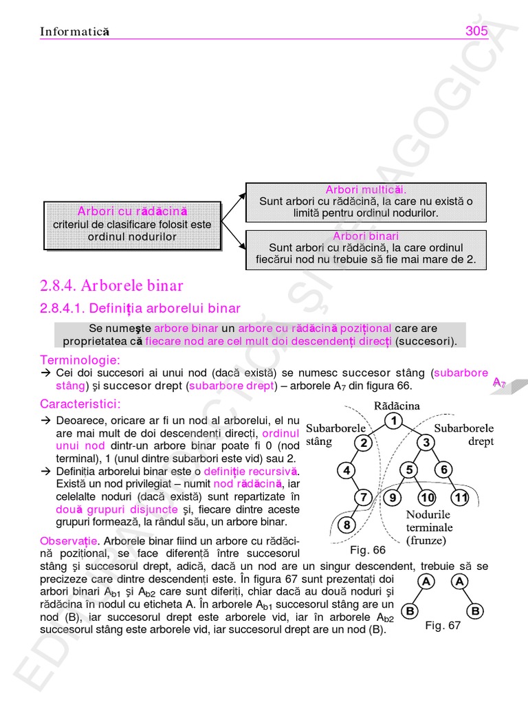 05 Arbori Binari | PDF