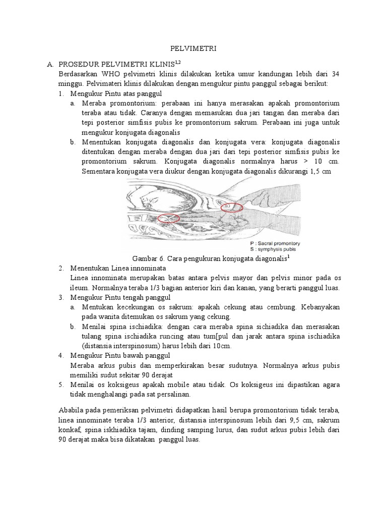 Pelvimetri Pdf