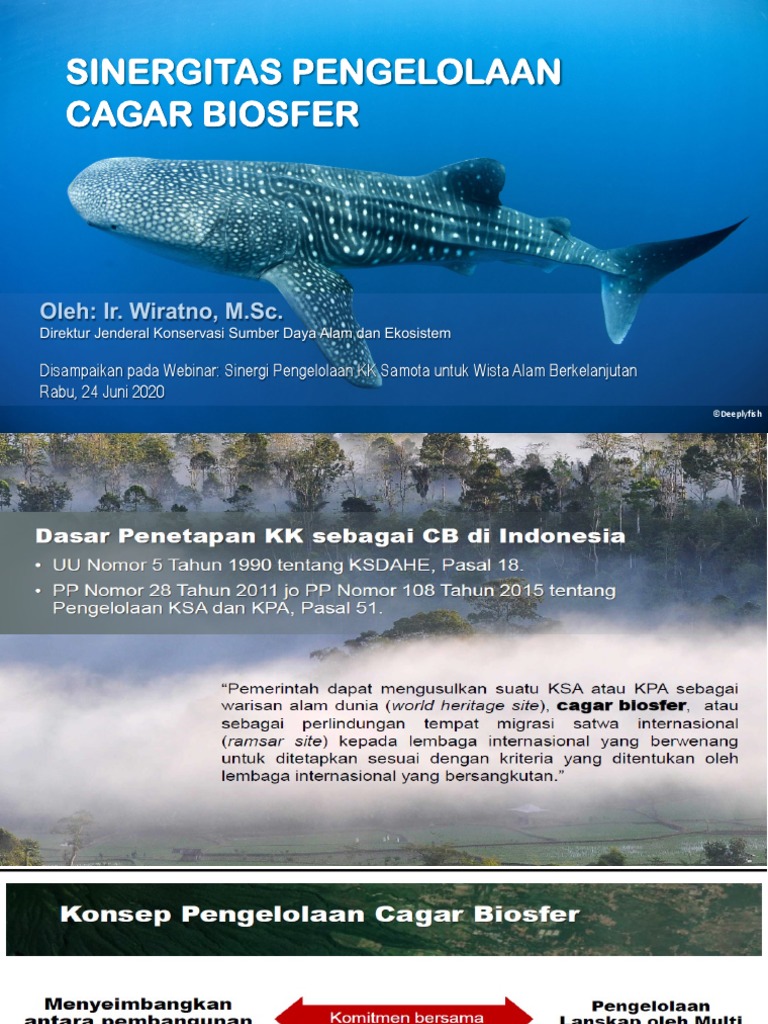 Wiratno Cagar Biosfer Samota 240620 | PDF