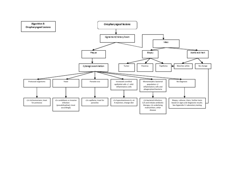 08 Oropharyngeal Lesions