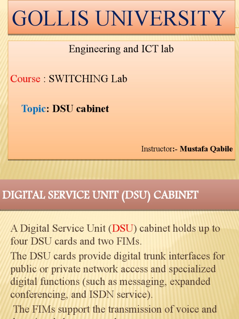 DSU Cabinet Overview and Components | PDF | Power Supply | Networks