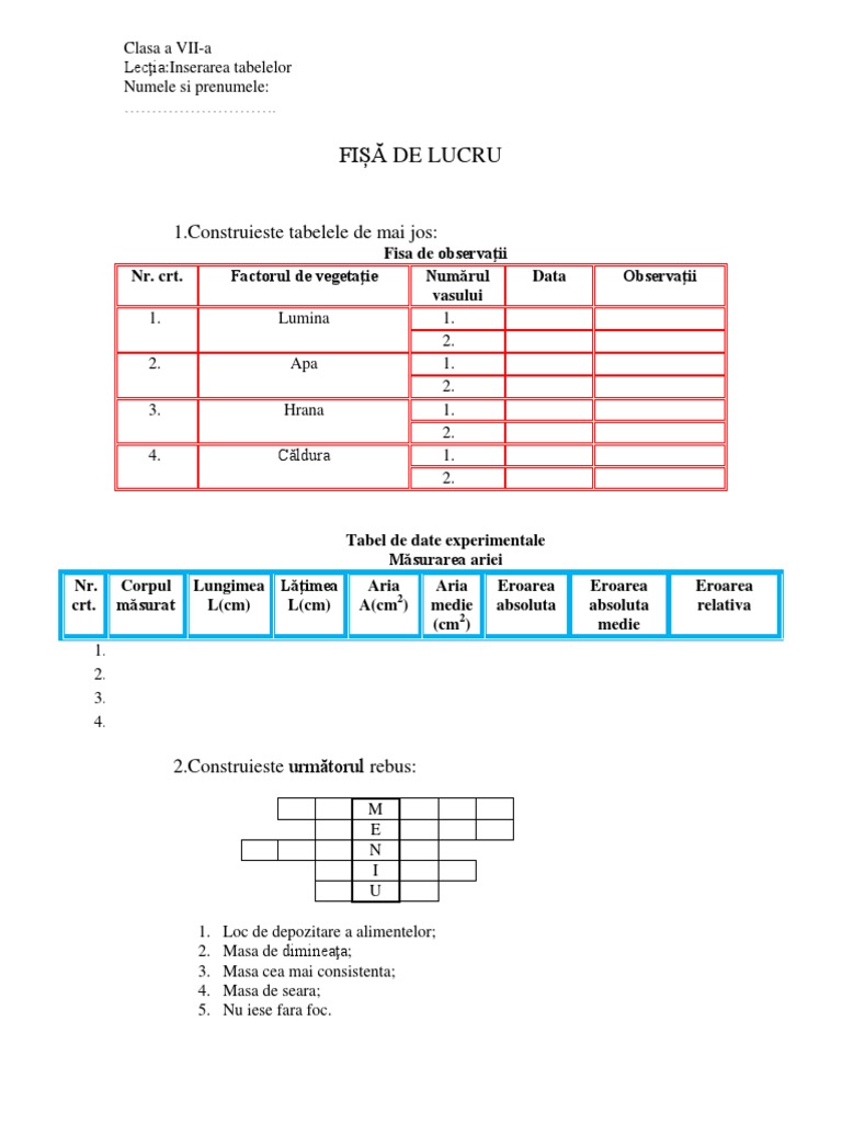 Fisa de Lucru Tabele | PDF