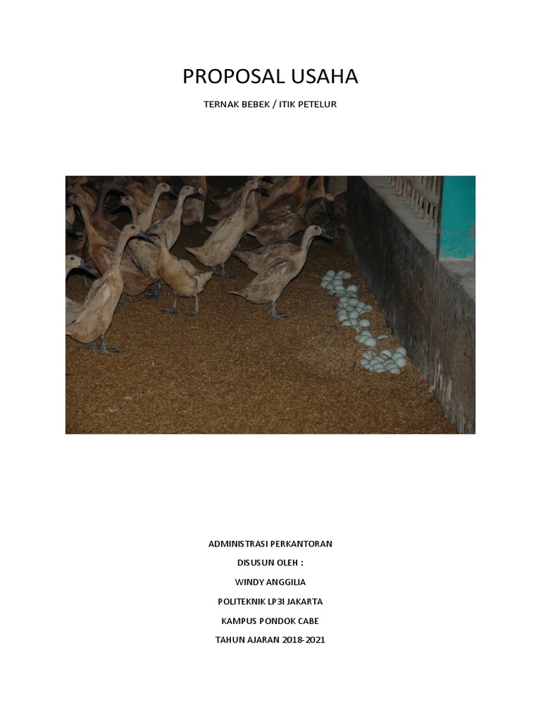 Proposal Usaha Bebek | PDF