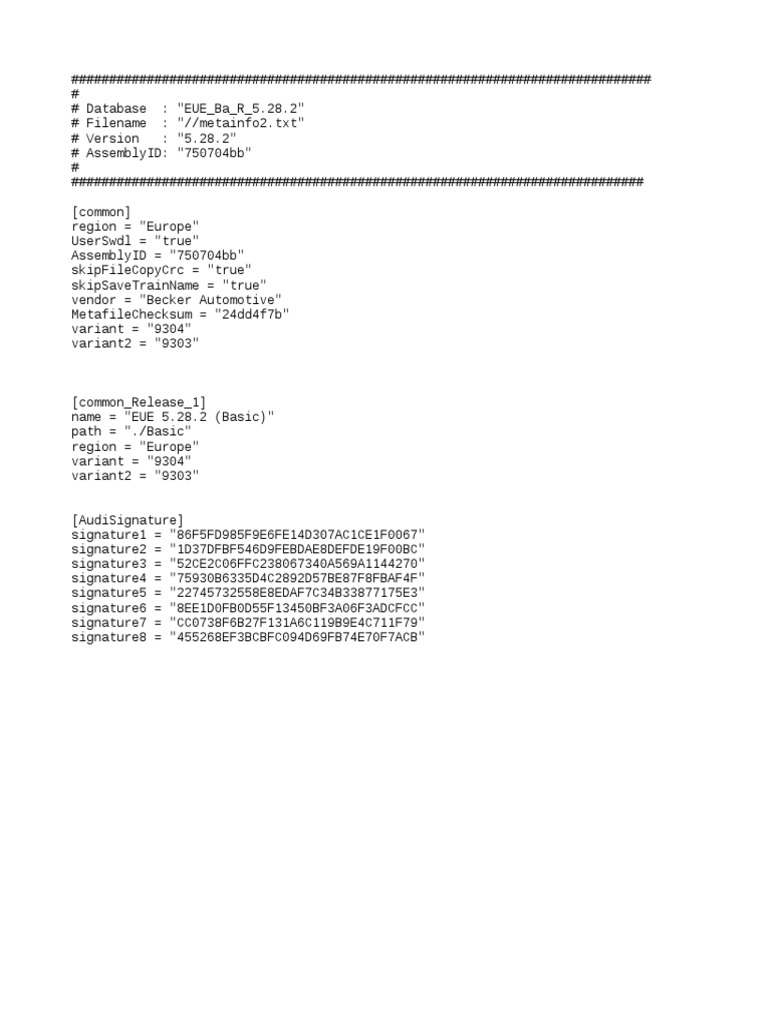 Metainfo 2 | PDF | Games & Activities | Computers