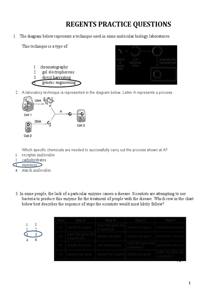 Regents Practice Questions: Receptor Molecules Carbohydrates Enzymes ...