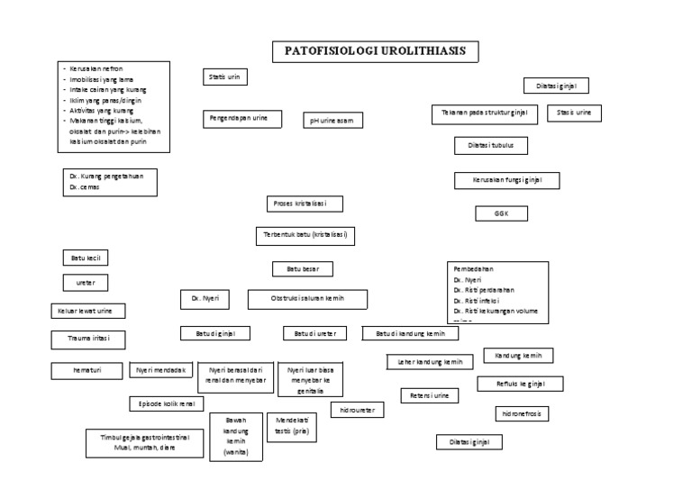 Patofisiologi Urolithiasis | PDF