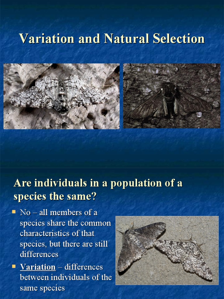 Notes Variation and Natural Selection | Download Free PDF | Natural ...
