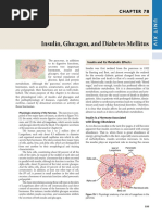 Video Recap of Codon Chart Video Companion by Amoeba Sisters | PDF ...