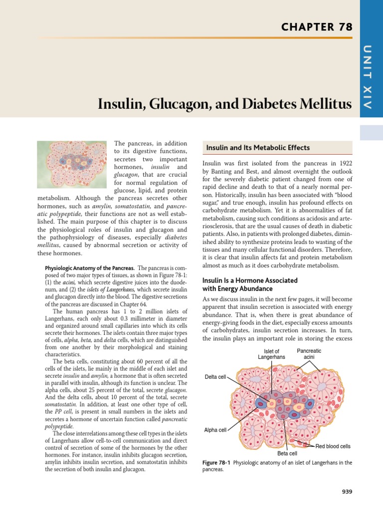 GH Chap 78 - Insulin, Glucagon and DM | PDF | Insulin | Glycogen