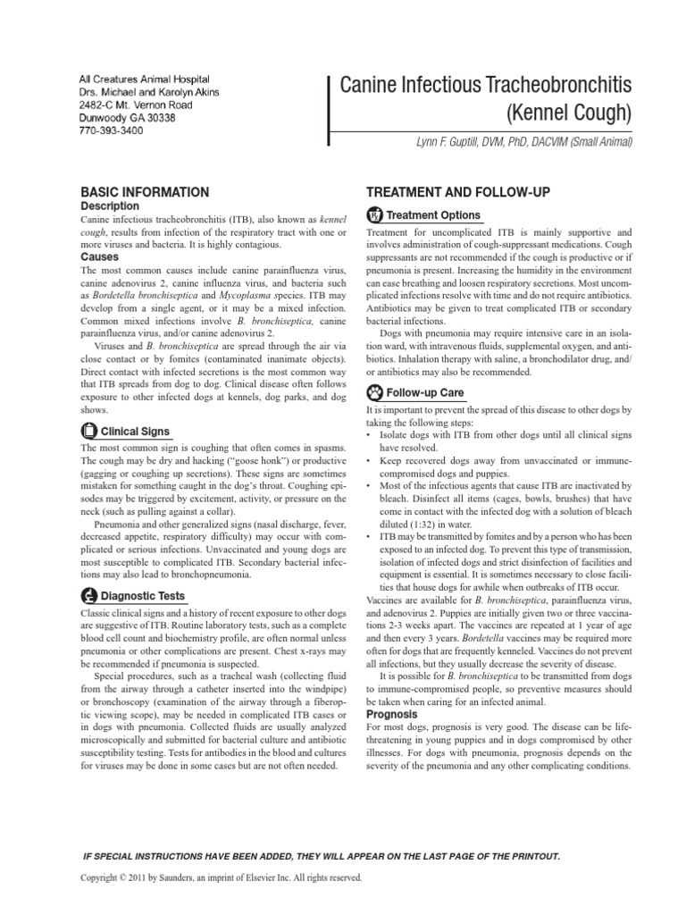 Canine Infectious Tracheobronchitis Kennel Cough | PDF | Pneumonia ...