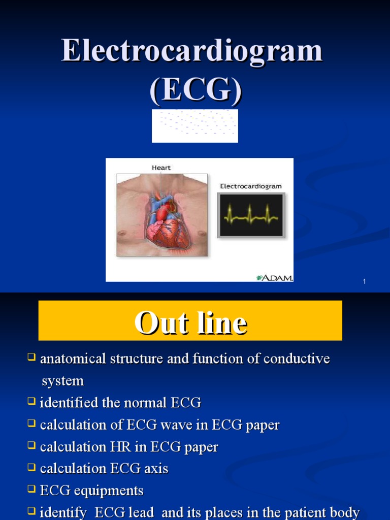 Electrocardiogram (ECG) | PDF | Electrocardiography | Thorax (Human Anatomy)
