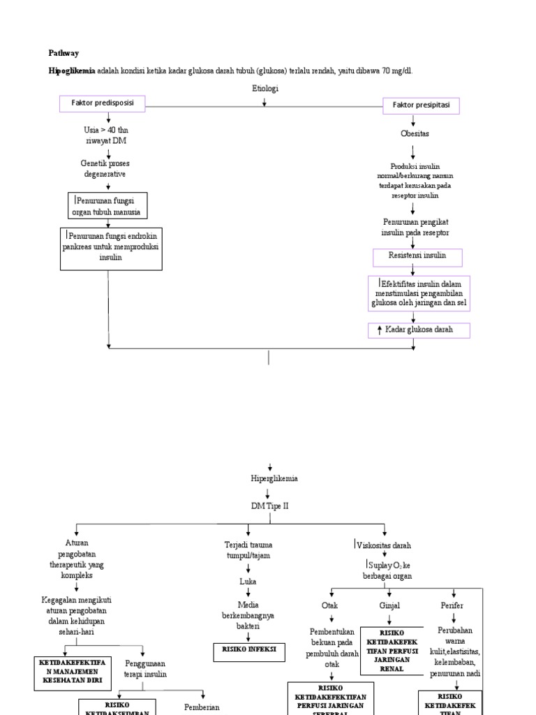 Pathway Hipoglikemia Fix | PDF