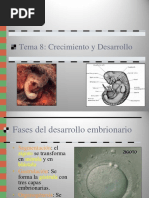 Desarrollo Del Saco Coriónico | PDF | Ciencia y matemáticas
