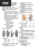 Mano en Garra: Causas y Tratamientos | PDF | Mano | Nervio