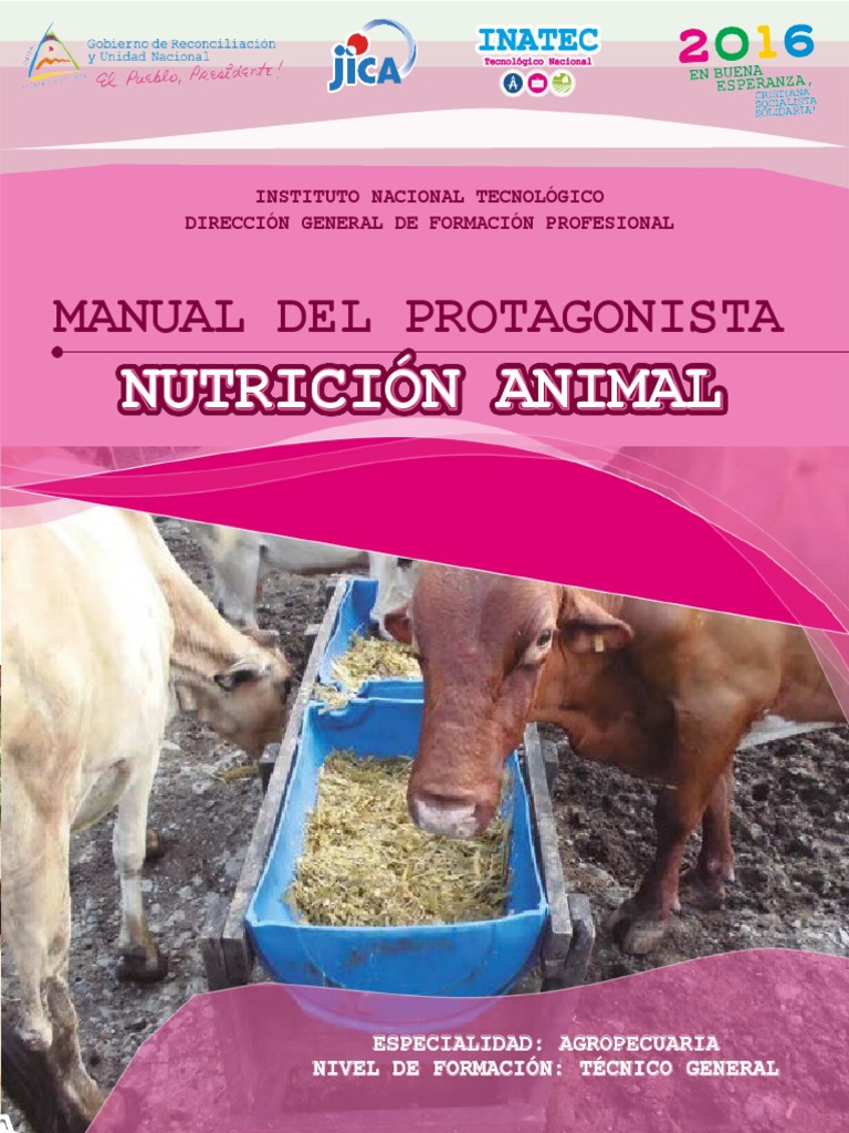 Manual de Nutricion Animal | PDF | Digestión | Sistema digestivo humano