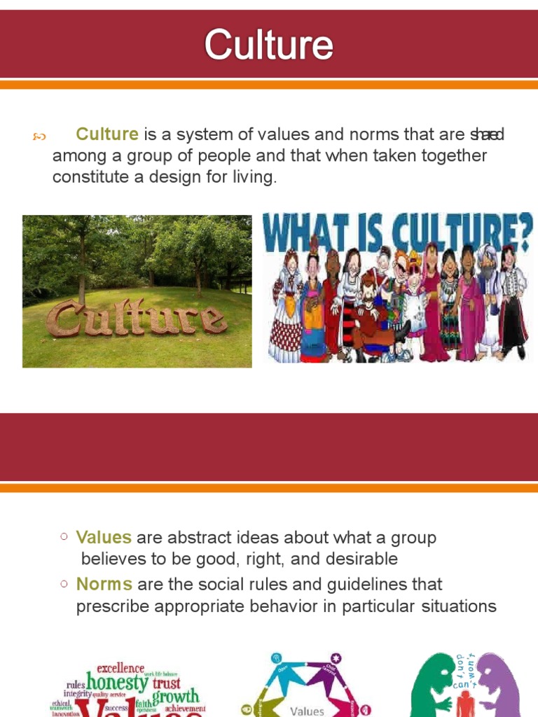 Understanding Culture: A Comprehensive Overview of Key Concepts Related ...