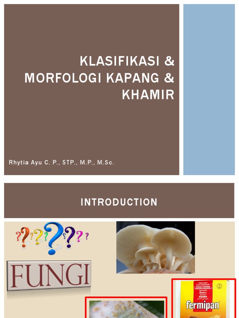 Klasifikasi & Morfologi Kapang & Khamir | PDF