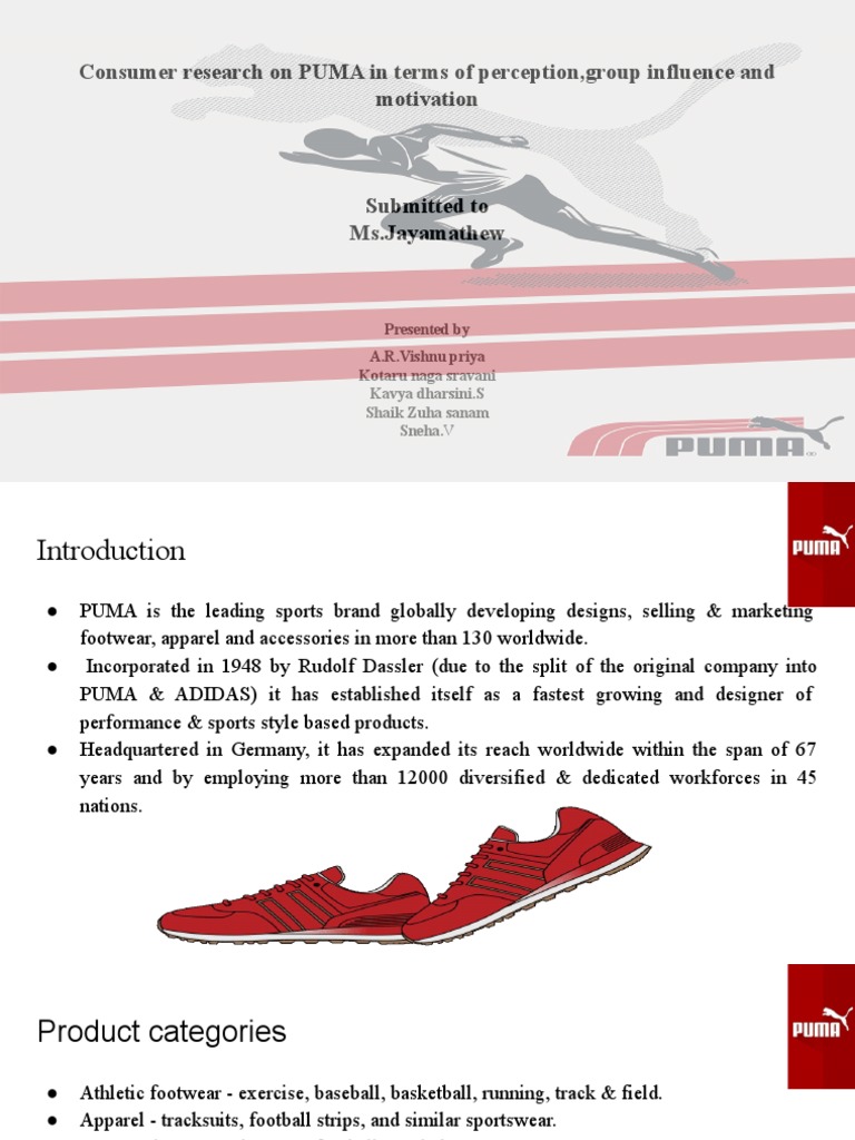 Consumer Research On PUMA in Terms of Perception, Group Influence and ...