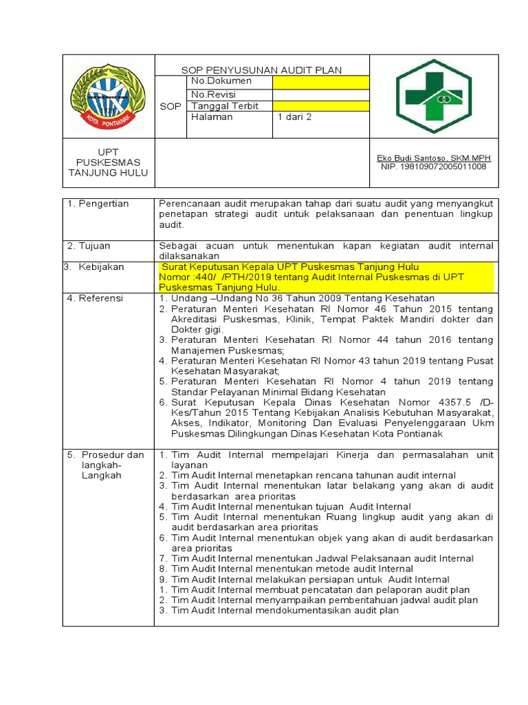 Sop Audit Plan | PDF