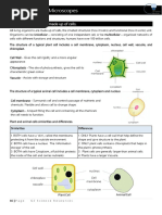 Year 9 Science Revision Booklet | PDF | Atoms | Cell (Biology)