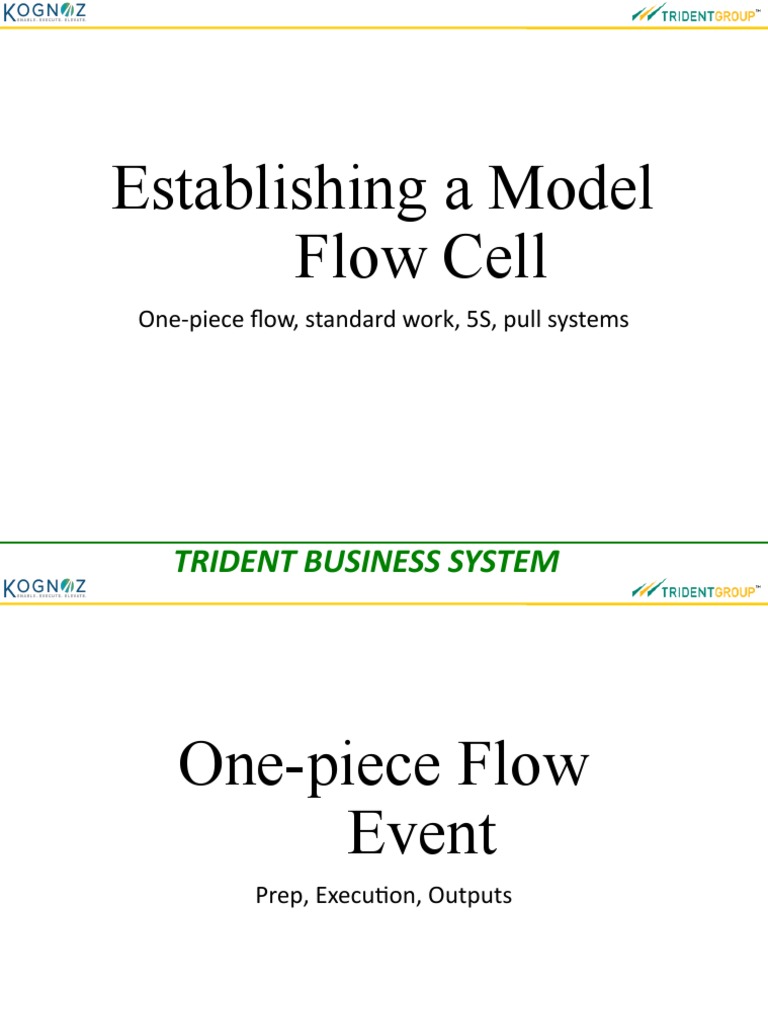 Establishing A Model Flow Cell: Trident Business System | PDF ...
