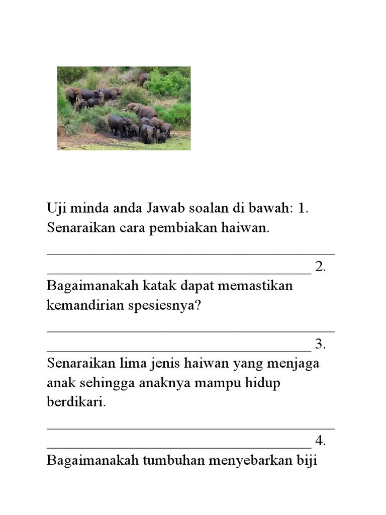 Uji Minda Anda Jawab Soalan Di Bawah | PDF