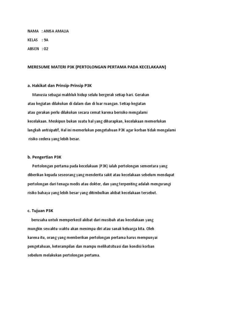Resume Materi P3K | PDF