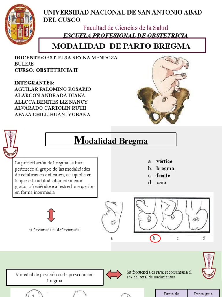 Modalidad de Parto: Presentación Bregma | PDF | Parto | Anatomía humana