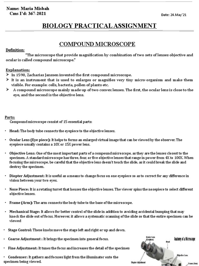 Biology Practical Assignment: Compound Microscope | PDF | Digestion ...