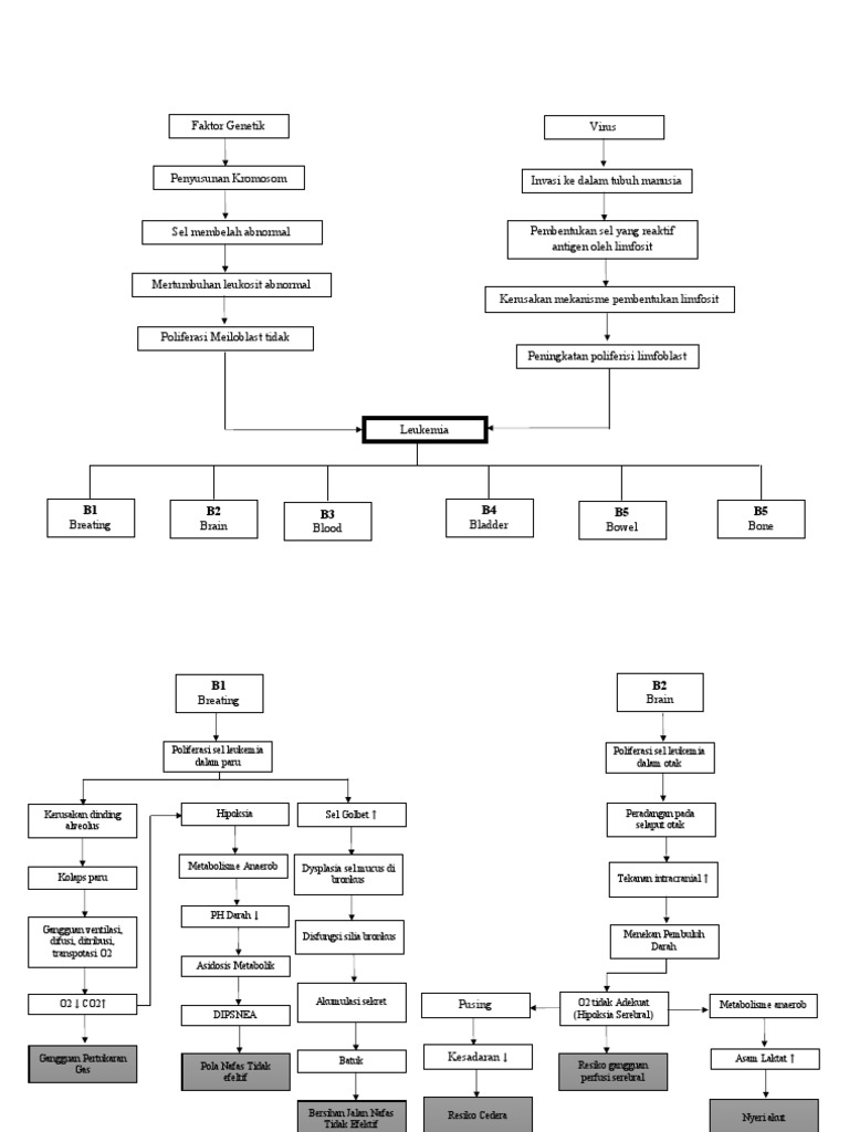 Pathway Leukemia | PDF