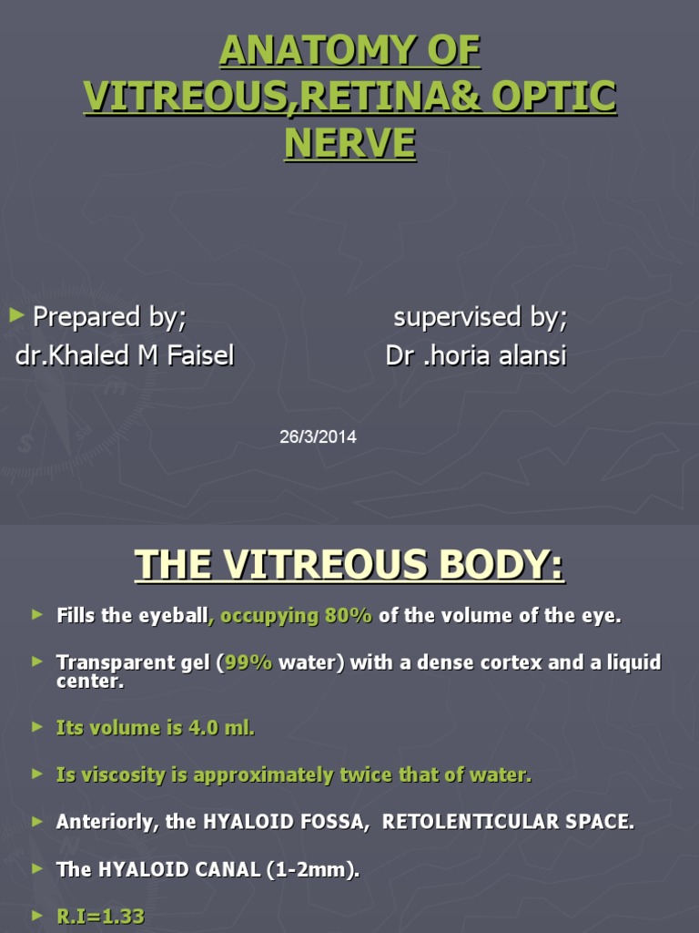 Anatomy of Vitreous and Retina | PDF | Retina | Human Eye