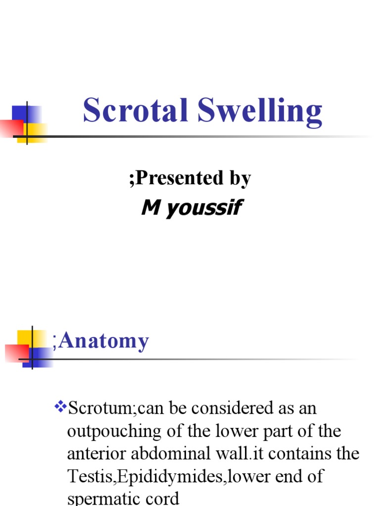 Scrotal Swelling | PDF | Anatomy | Medical Specialties