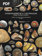 Anatomía y Fisiología de Los Peces Teleósteos | PDF | Vena | Pescado