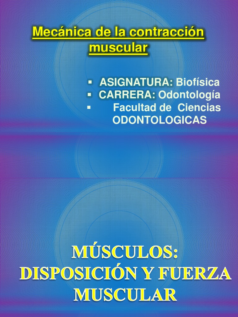 Mecánica de la contracción muscular: propiedades, tipos y regulación ...