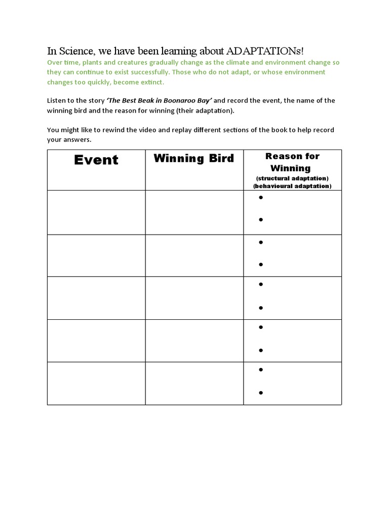 Best Beak in Boonaroo Bay Activity | PDF